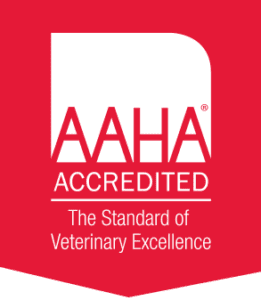 About Our AAHA Accreditation | Broad Ripple Animal Clinic